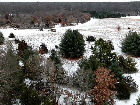 0 N 2080 County Rd, Forest City, IL 61532 | Zillow