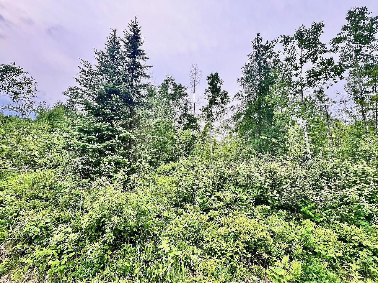 Shuster Rd, Orr, MN 55771 | MLS #6738783 | Zillow