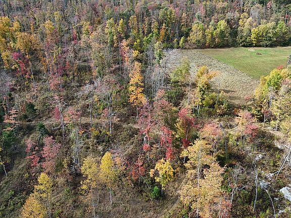 0 Chestnut Ridge Rd, Penn Run, PA 15765 | MLS #08-8690 | Zillow