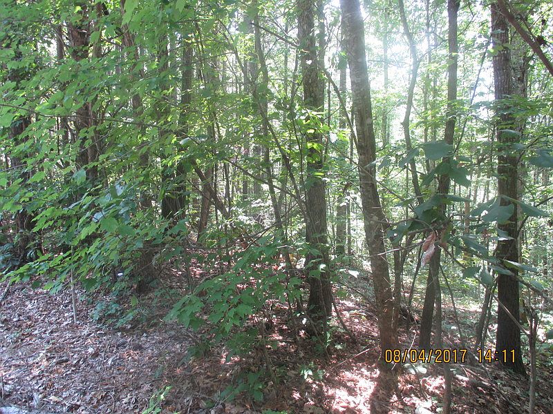 28266 County Road 222, Cullman, AL 35057 | Zillow