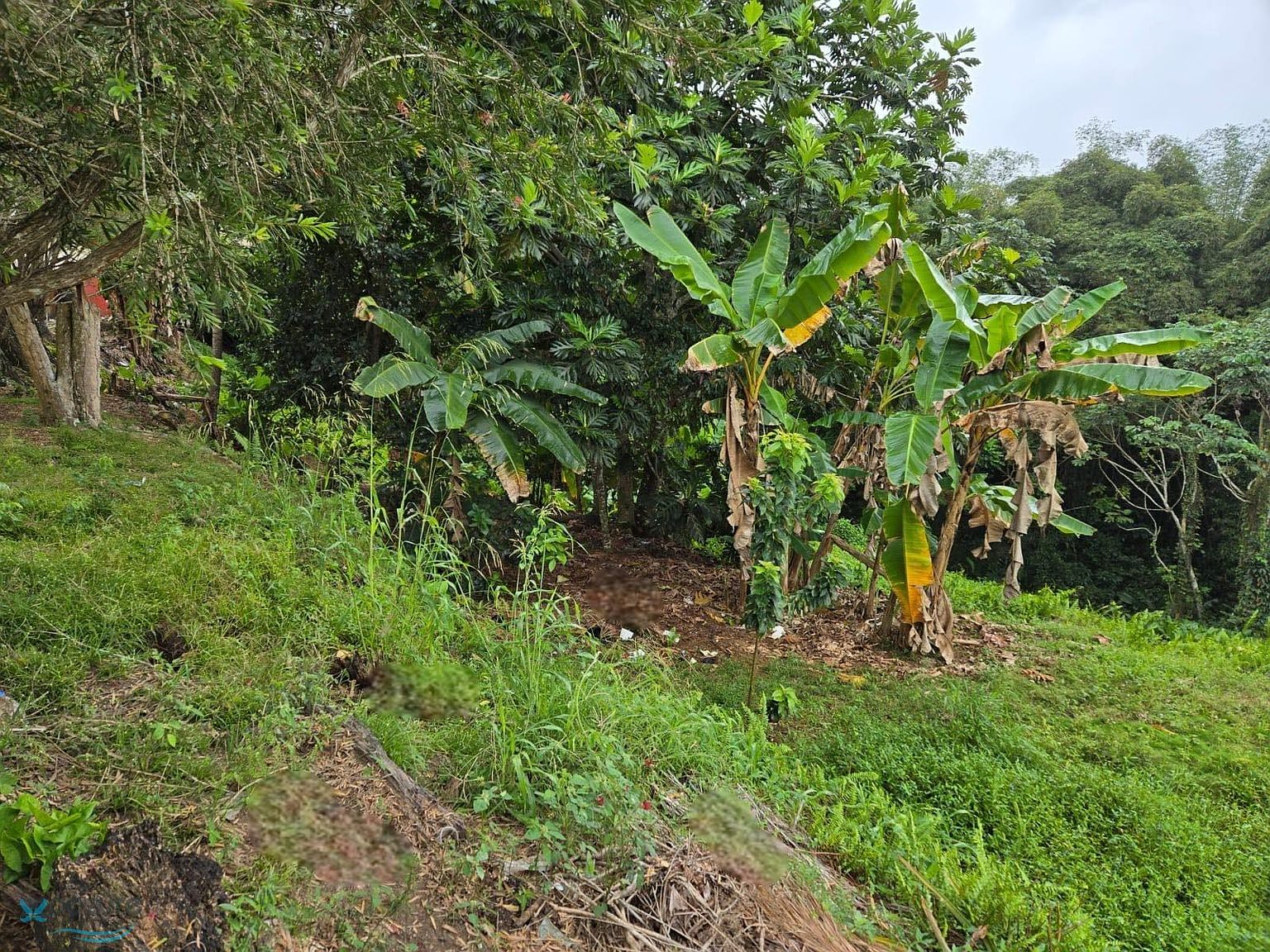 Ramal 602 Bo Angeles Sector El Poblado Carr #111, Utuado, PR 00641 | MLS #58583 | Zillow