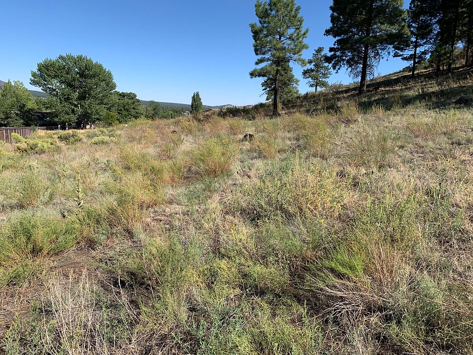11668 N Rope Arabian Rd Flagstaff AZ | Zillow