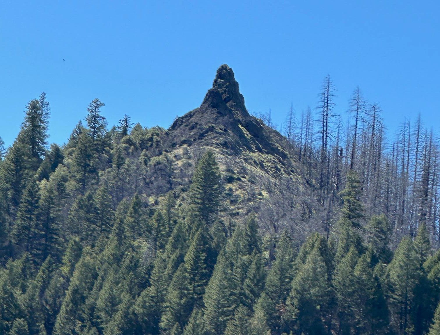 580 Marshall Creek Rd, Ruth, CA 95526 | MLS #269685 | Zillow