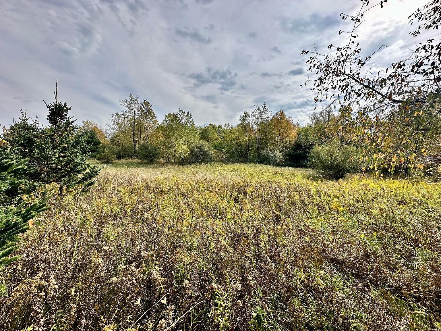 Par B Belding Rd, Belding, MI 48809 | Zillow