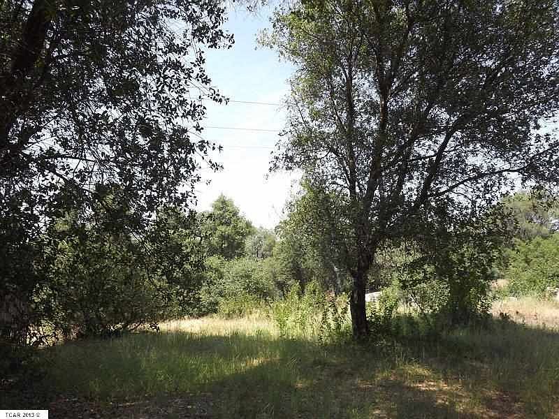 Pcl 5 B 1 Joshua, Sonora, CA 95370 | Zillow