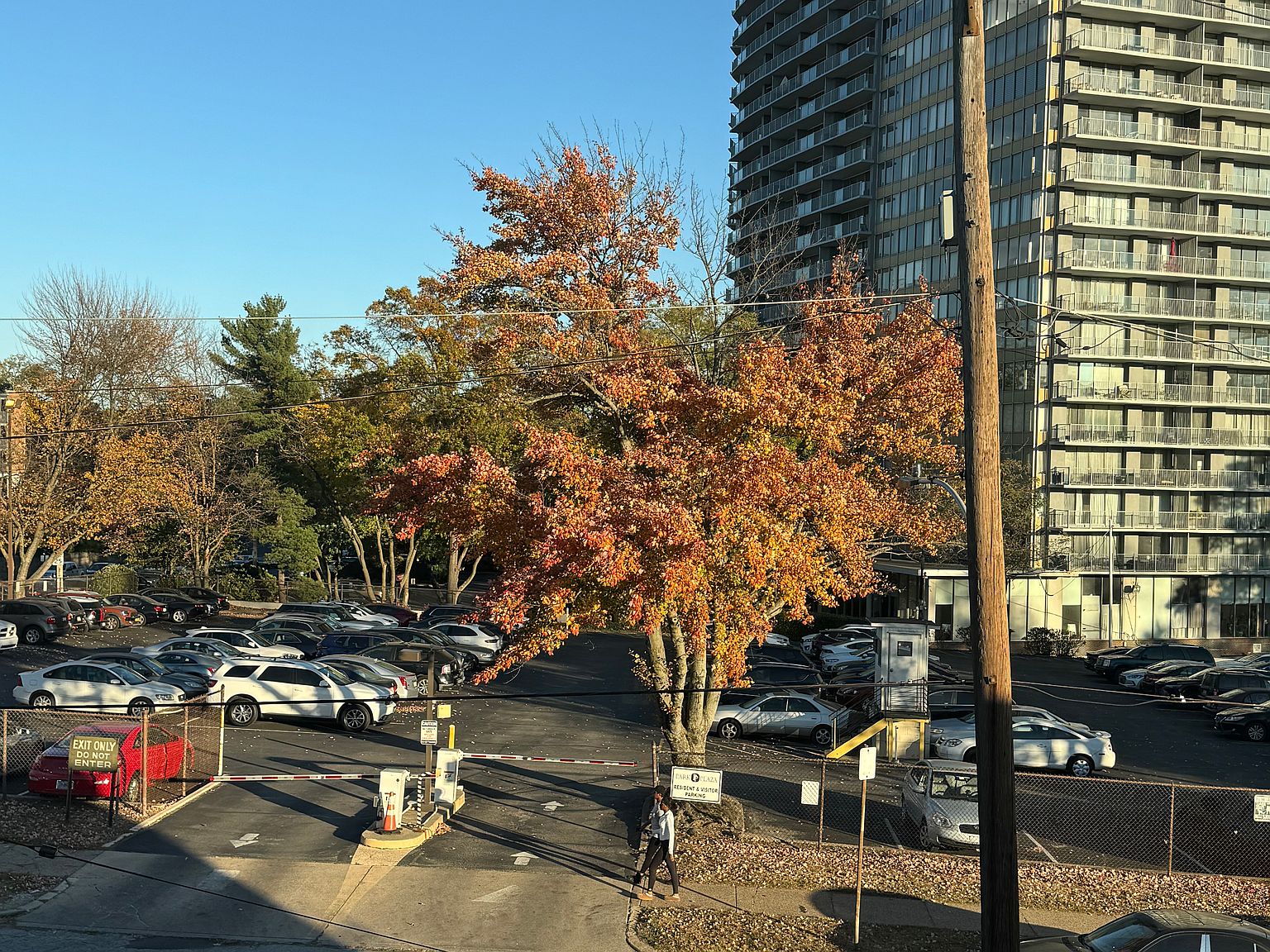 2590 Cranston Rd NW #1, Philadelphia, PA 19131 | Zillow