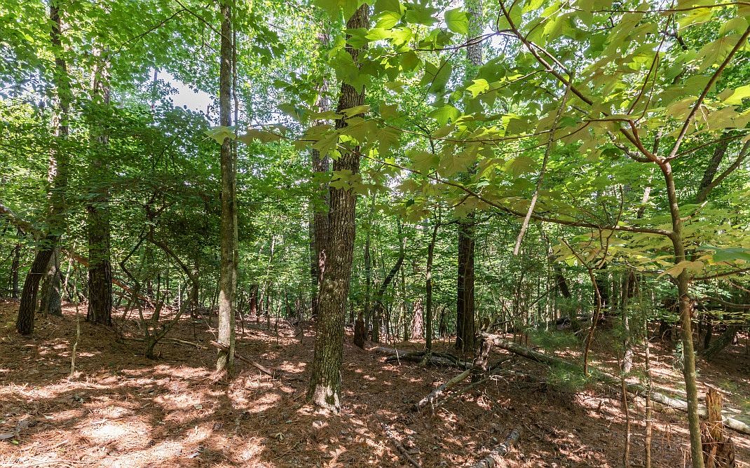 L3514 Darian Way, Ellijay, GA 30540 | Zillow