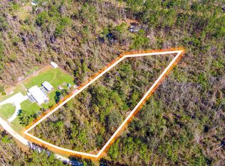 0 NE Rue Dr, Pinetta, FL 32350 | MLS #384763 | Zillow