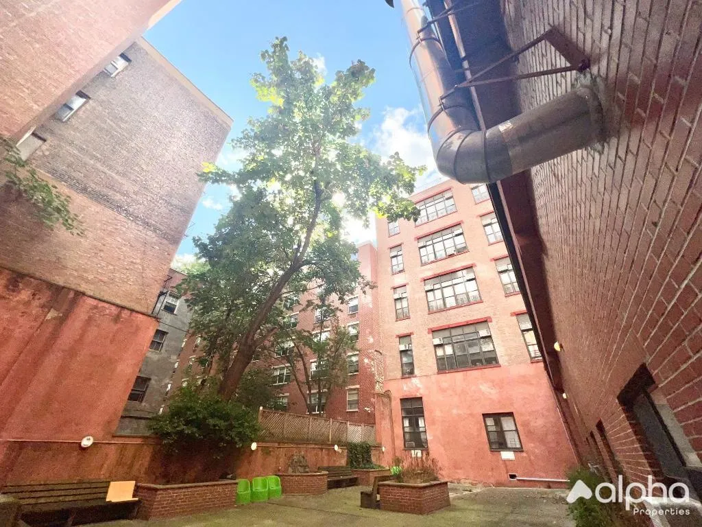 203 Rivington Street #4T in Lower East Side, Manhattan | StreetEasy