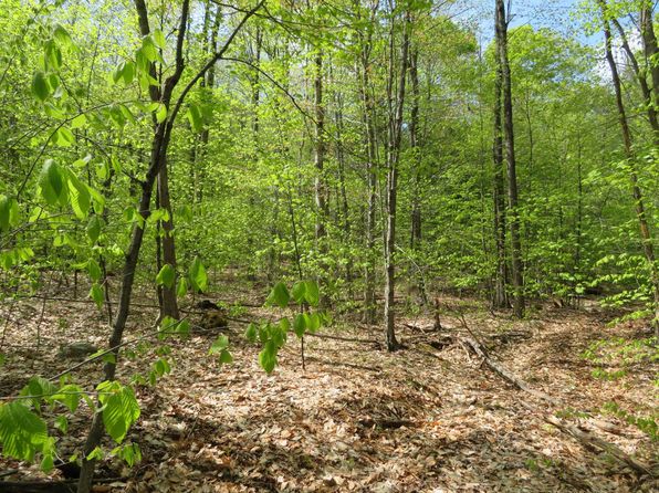 Mayfield NY Real Estate - Mayfield NY Homes For Sale | Zillow