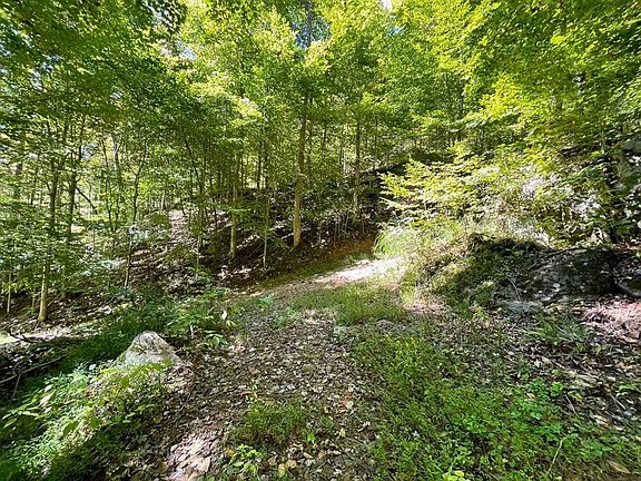 866 Chissom Rd, Jeremiah, KY 41826 | MLS #118404 | Zillow