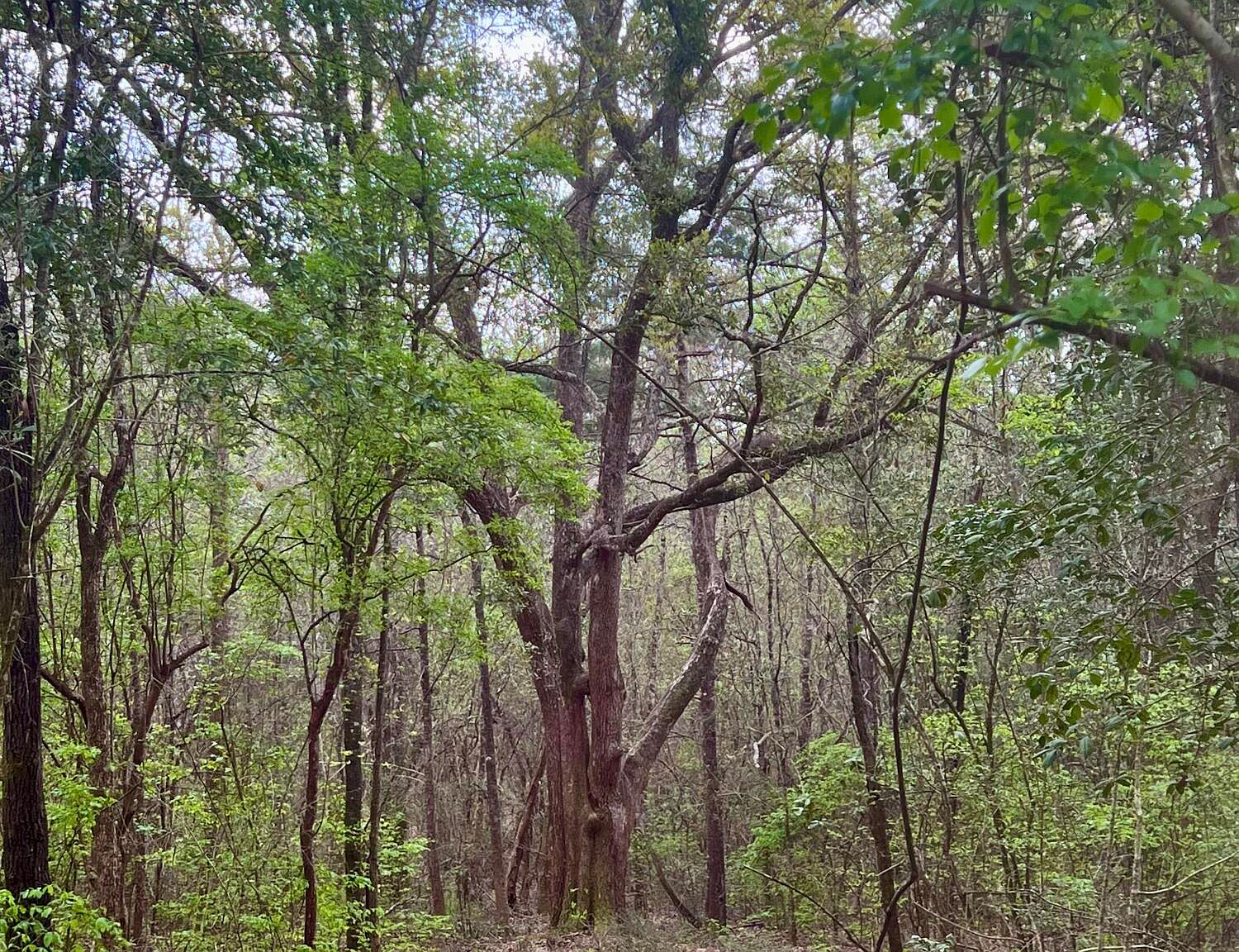 7873 Harper Rd, Laurel Hill, FL 32567 | MLS #927537 | Zillow