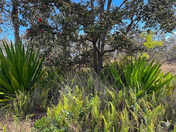 Cocoanut Dr Lot 32, Ocean View, HI 96737 | MLS #730427 | Zillow