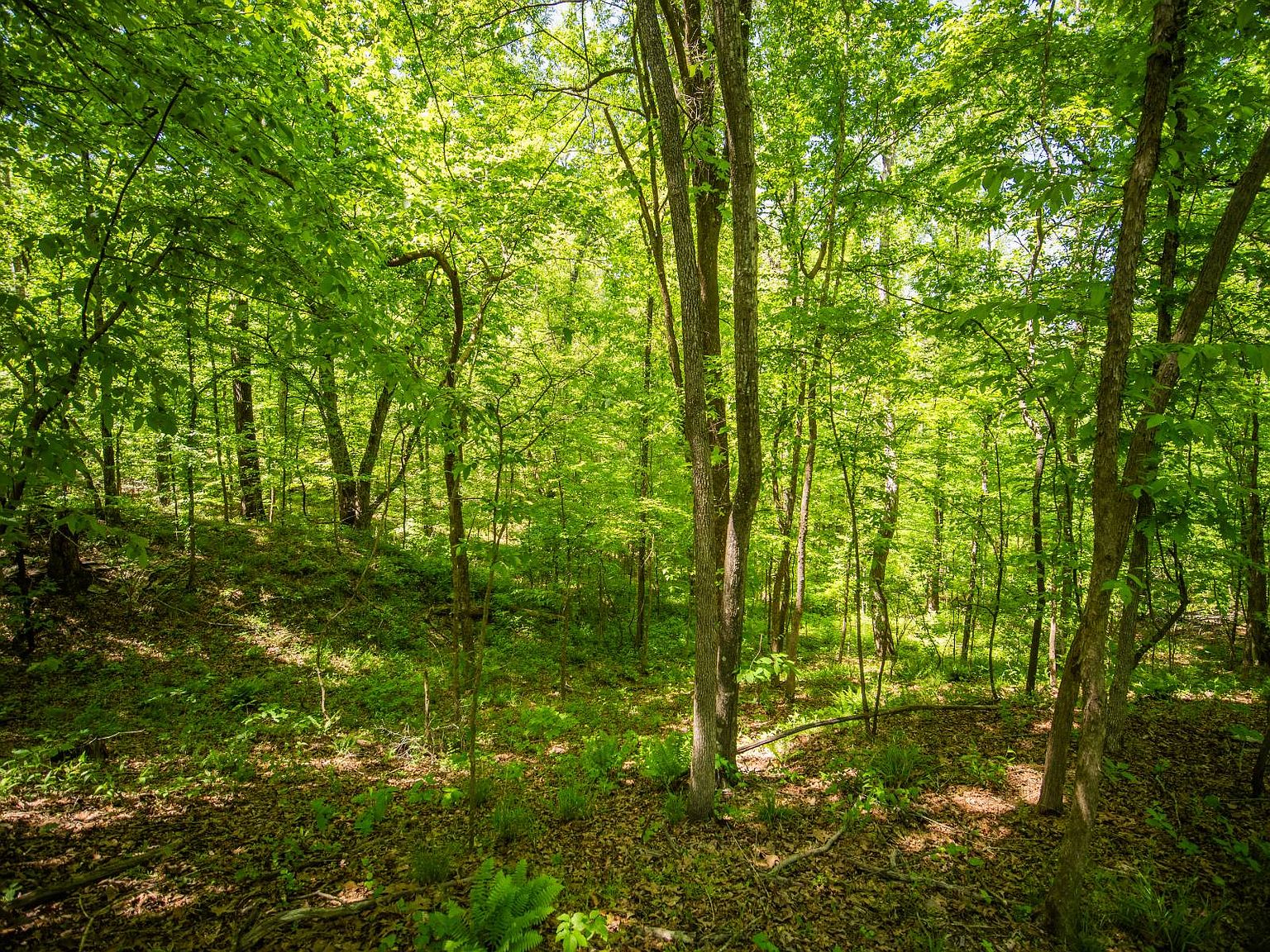 382-400 Robinson Springs Rd, Flora, MS 39071 | MLS #11498003 | Zillow