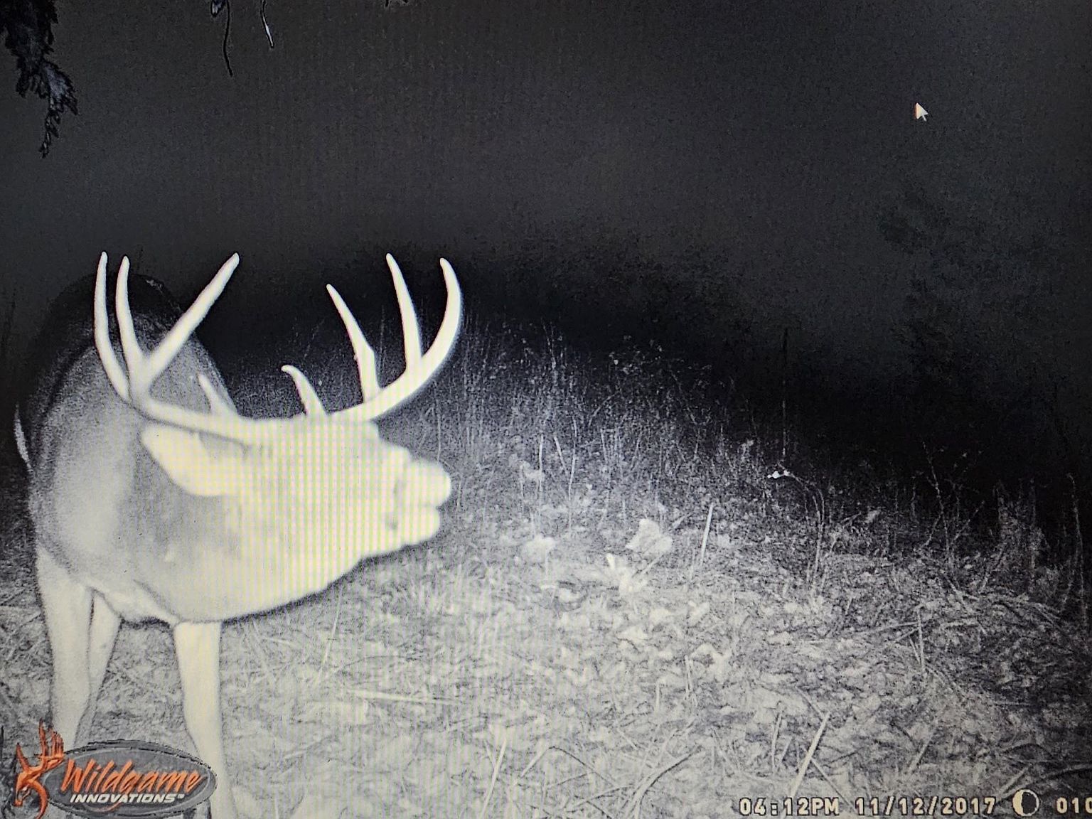 Highway 43 Ac In S24 T17 #66-R22, Compton, AR 72624 | MLS #25005251 | Zillow