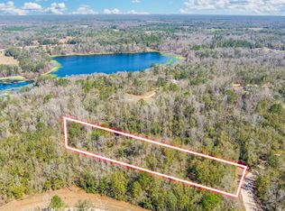 0 NE Rue Dr, Pinetta, FL 32350 | MLS #384763 | Zillow