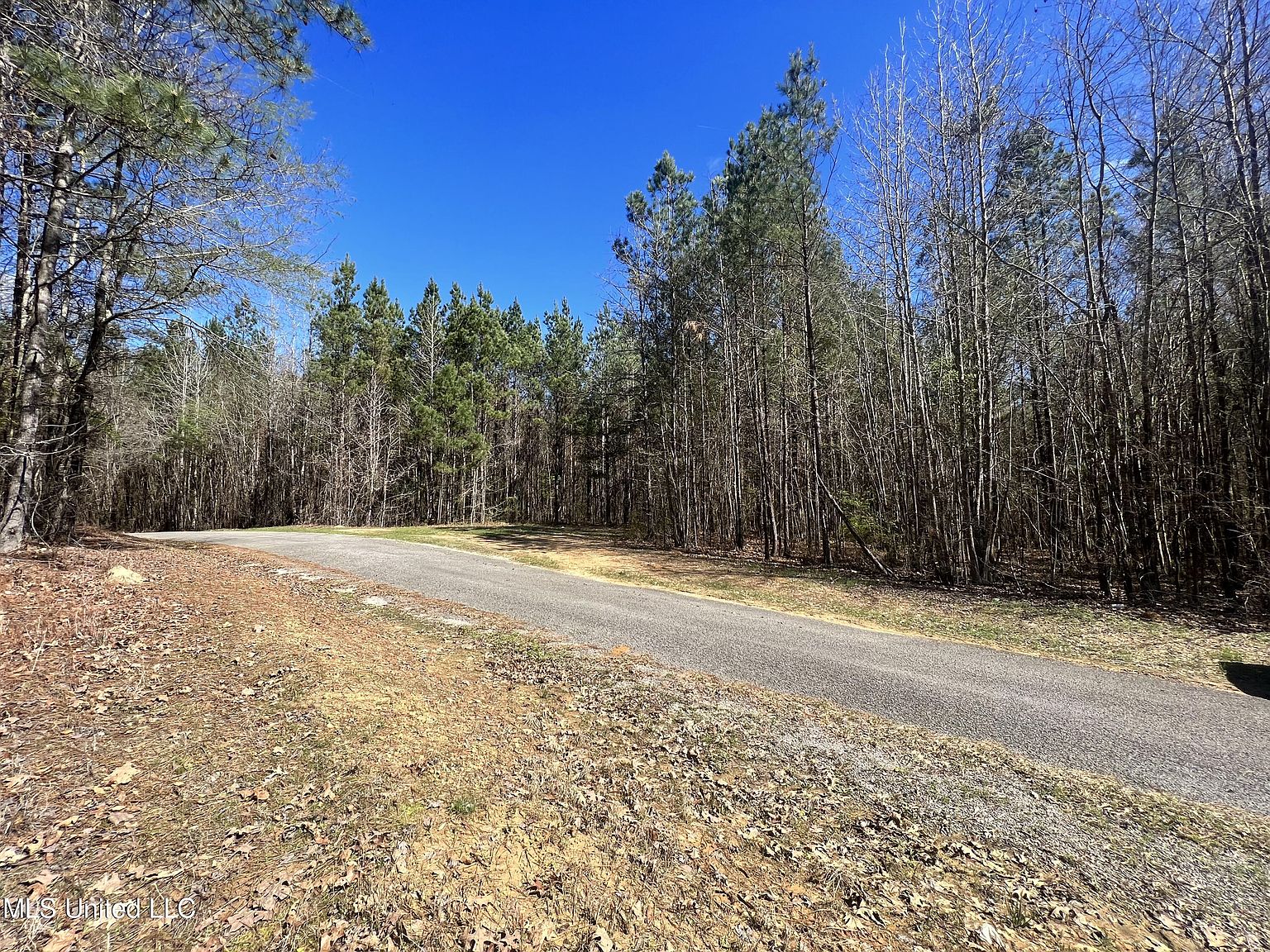 1 Henry Sample Rd, Lena, MS 39094 | Zillow