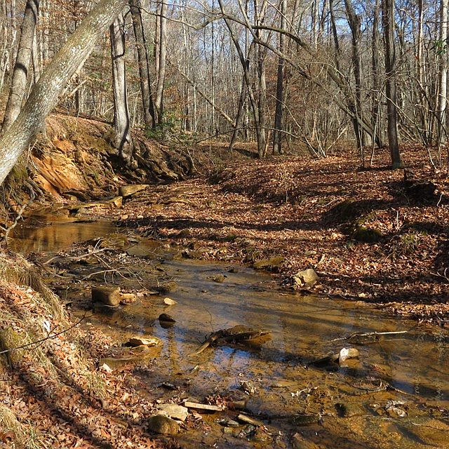 453 Mabe Ln, Stuart, VA 24171 | Zillow