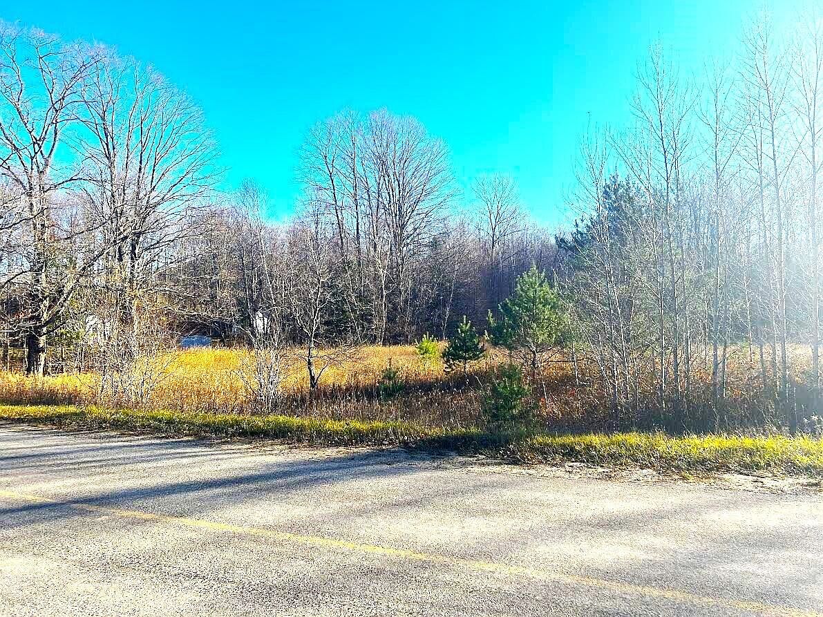 NW Garber And Canby Rd, Levering, MI 49755 | Zillow