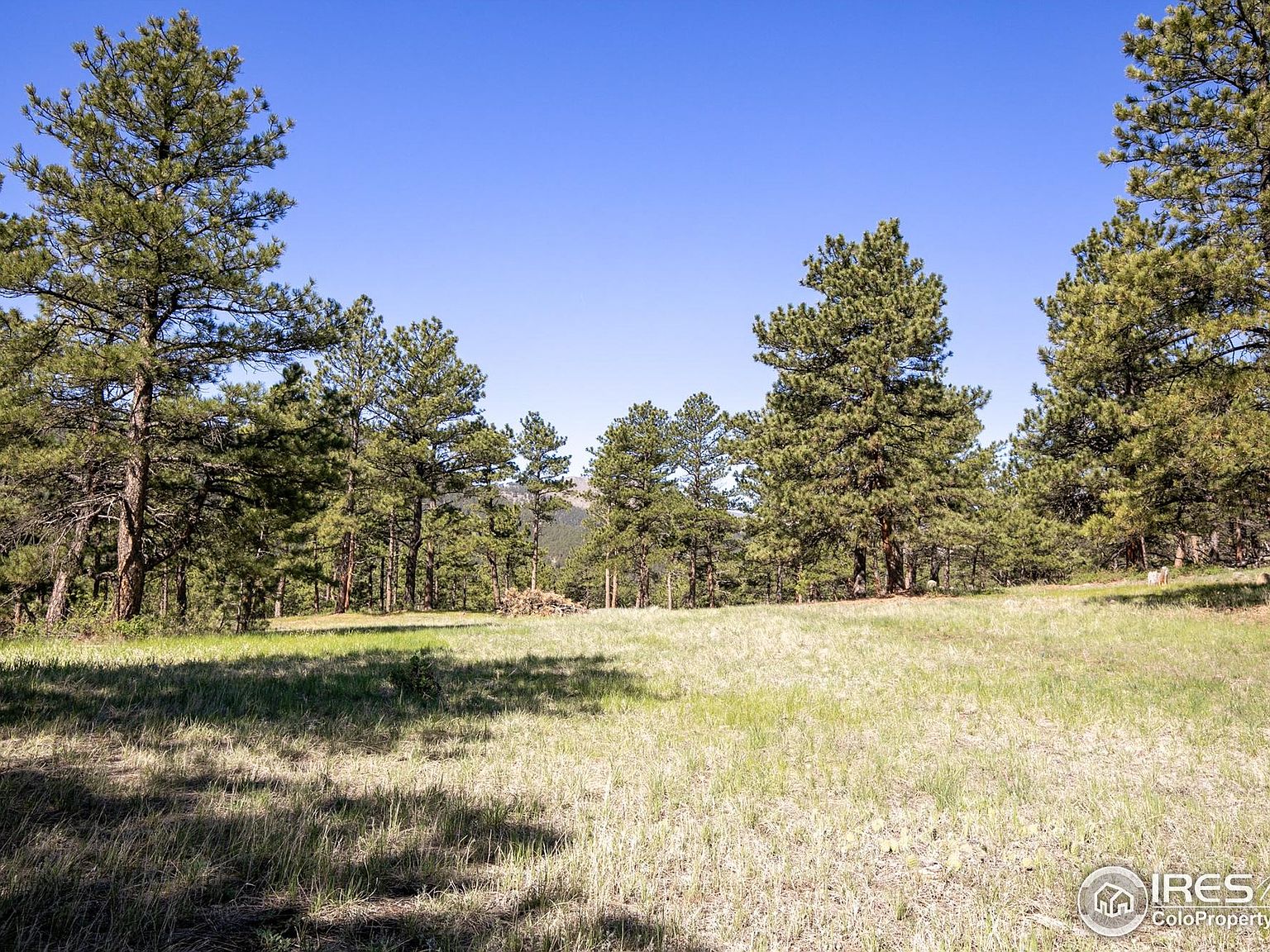 2050 Fourmile Canyon Dr, Boulder, CO 80302 | MLS #1034326 | Zillow