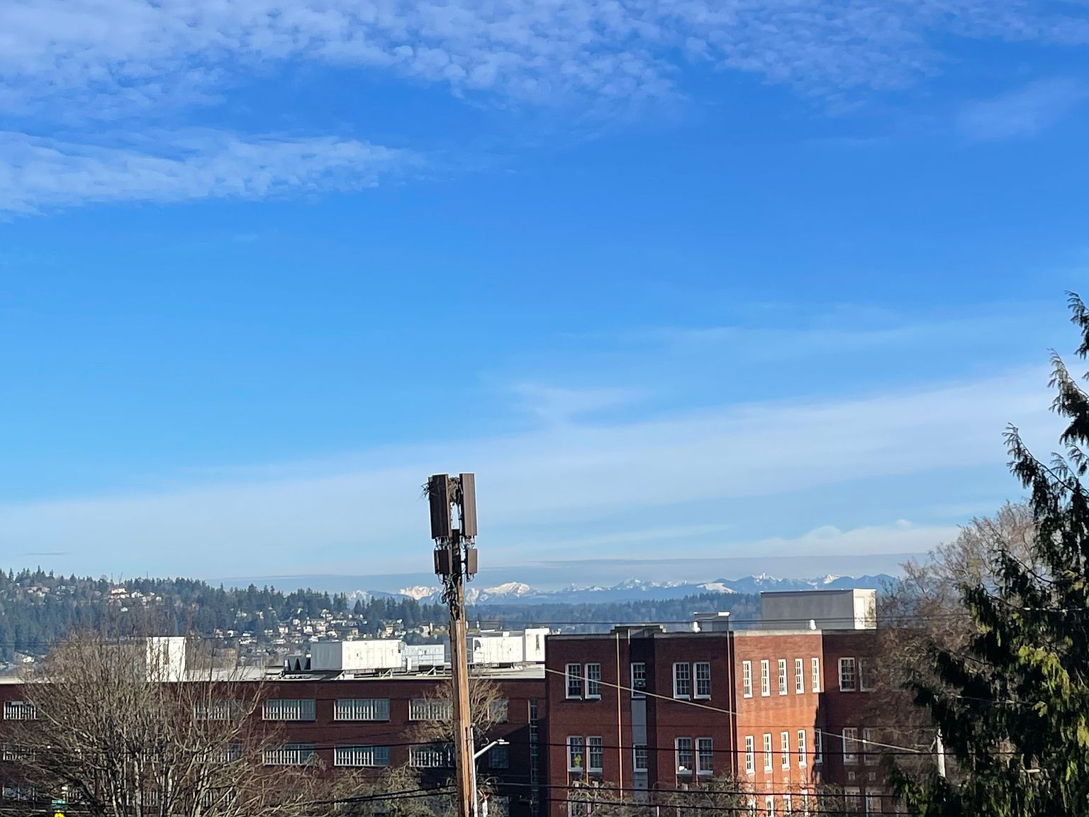 7309 Sand Point Way NE UNIT 945, Seattle, WA 98115 | Zillow