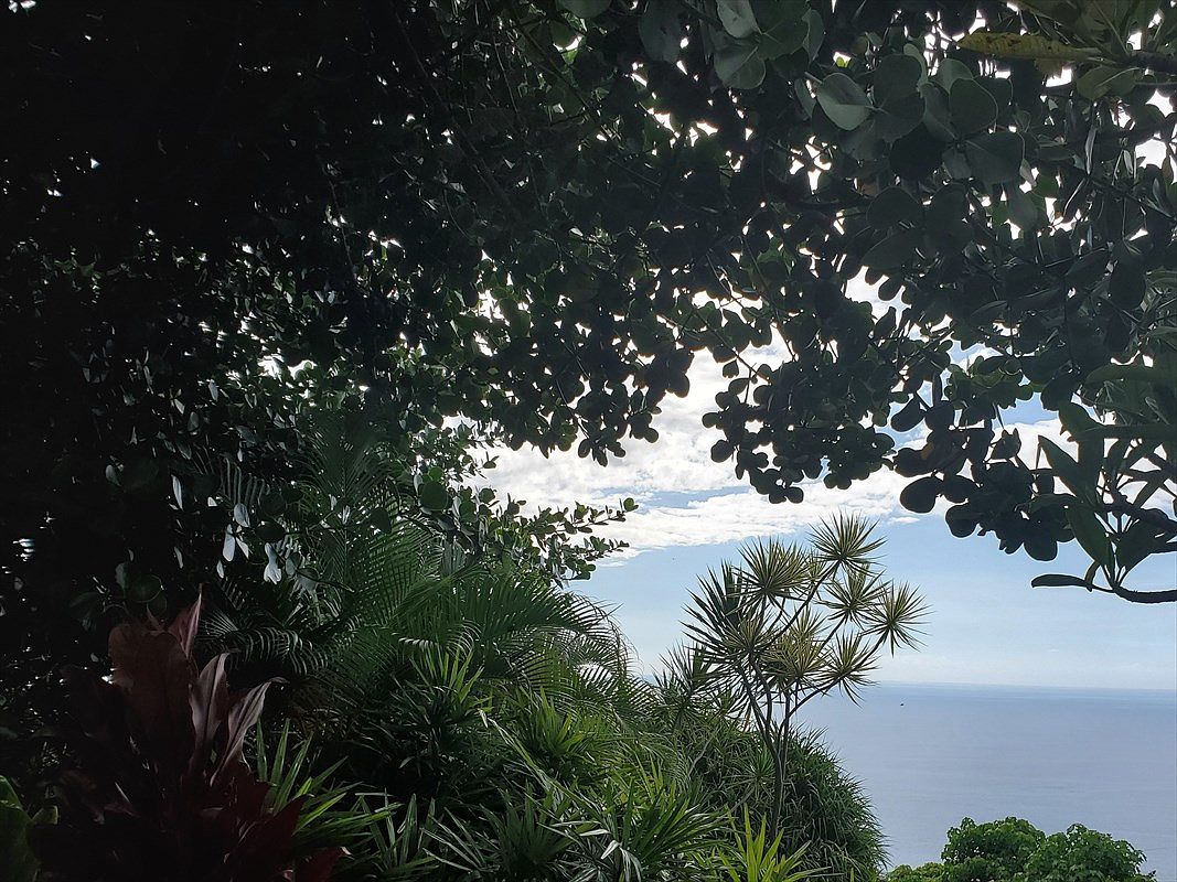 Carissa Rd, Captain Cook, HI 96704 | Zillow