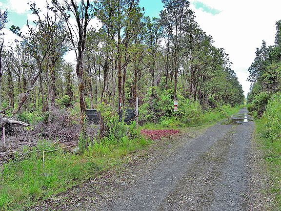 21 Mahina St, Mountain View, HI 96771 | MLS #702600 | Zillow