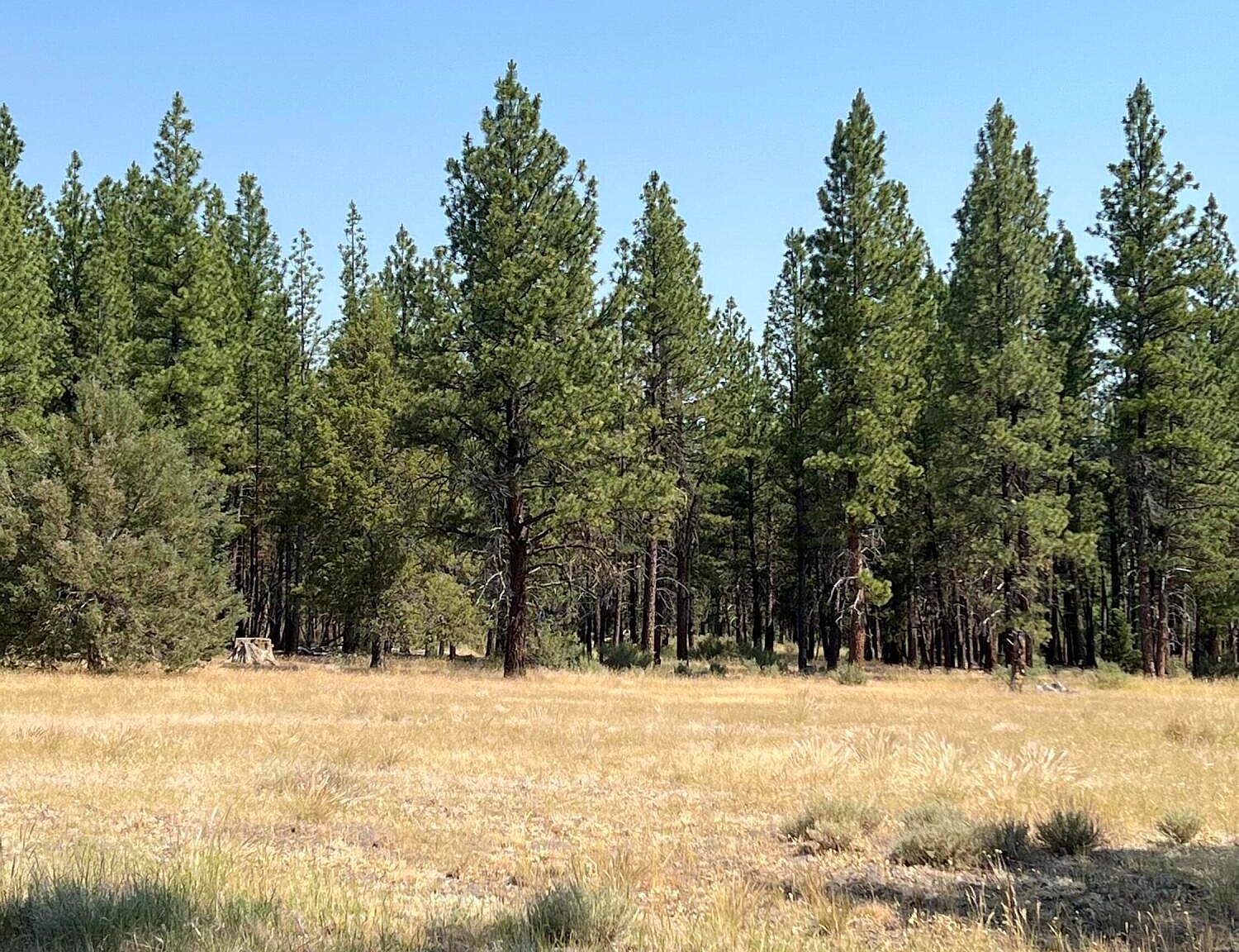 Sprague River Parcels 324688, Sprague River, OR 97639 | Zillow