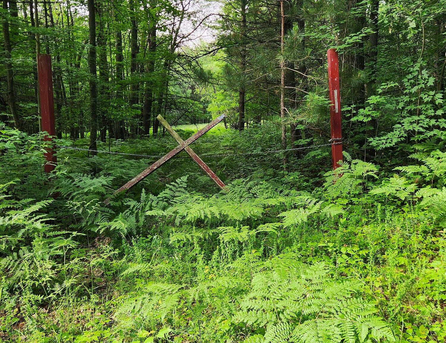 Pere Cheney Rd, Grayling, MI 49738 | Zillow