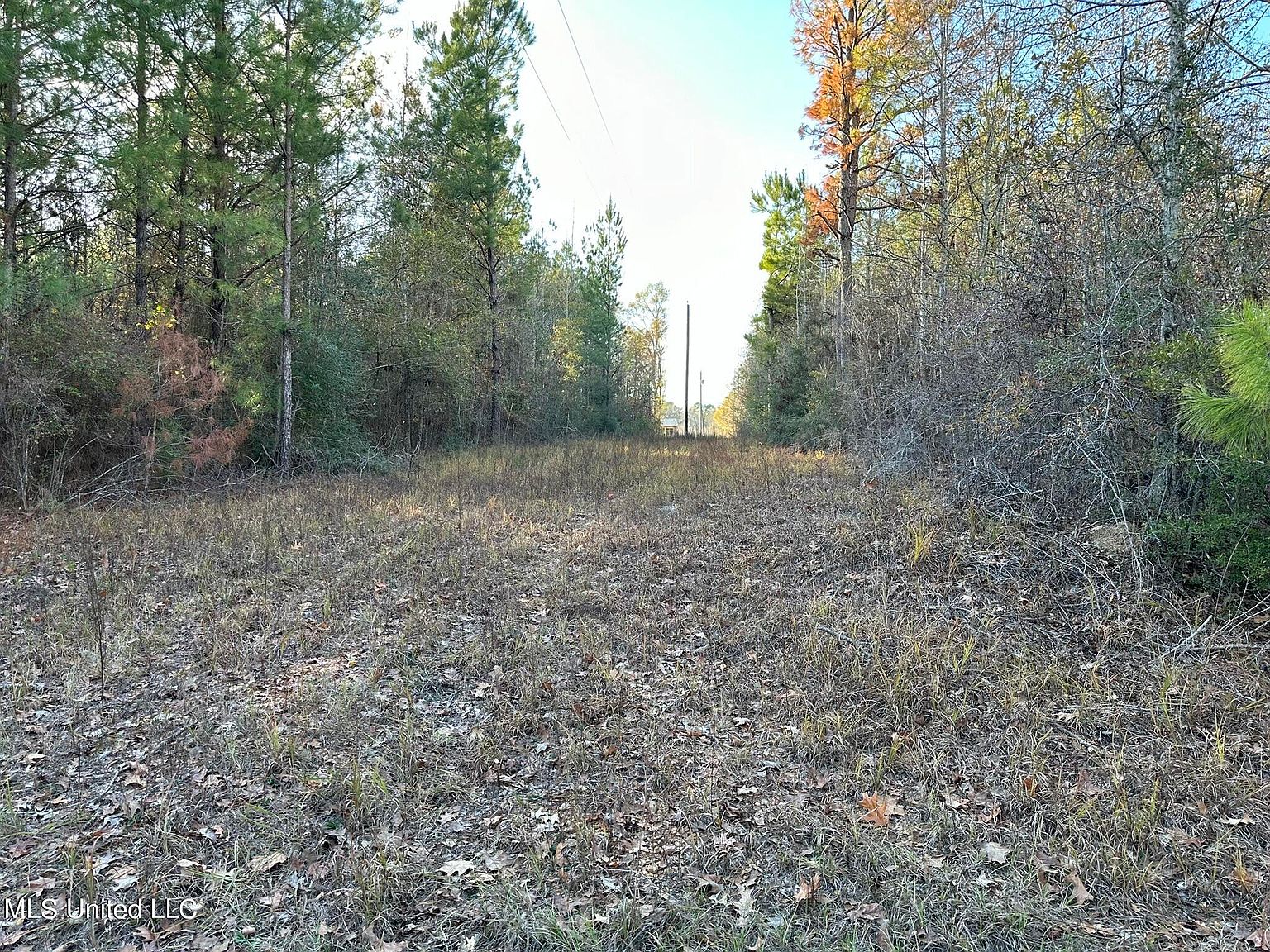 1084 Williamson Rd, Wesson, MS 39191 | MLS #4066686 | Zillow