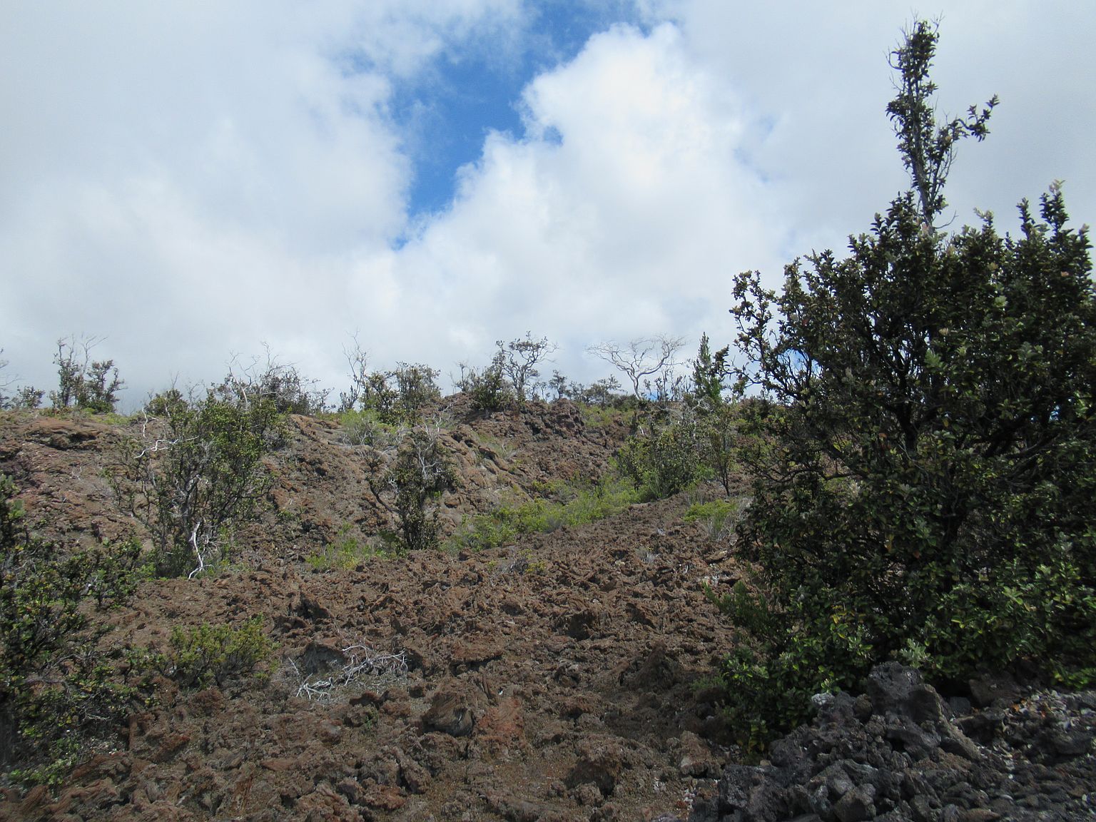 17 Sea View Dr, Ocean View, HI 96737 | Zillow