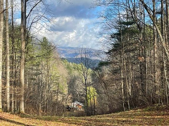 468 Coffee Ridge Rd, Erwin, TN 37650 | MLS #9948199 | Zillow