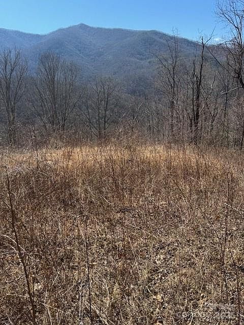 Rickman Rdg, Canton, NC 28716 | MLS #4275488 | Zillow