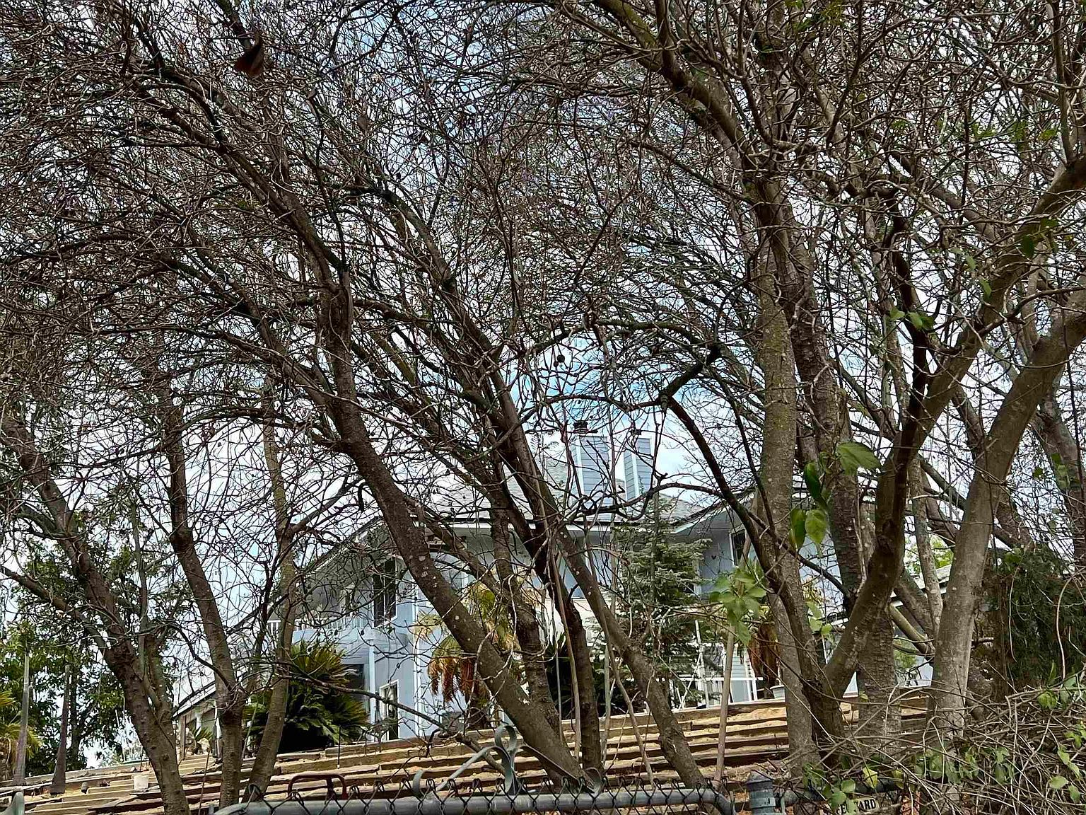 1154 Capra Way, Fallbrook, CA 92028 | Zillow