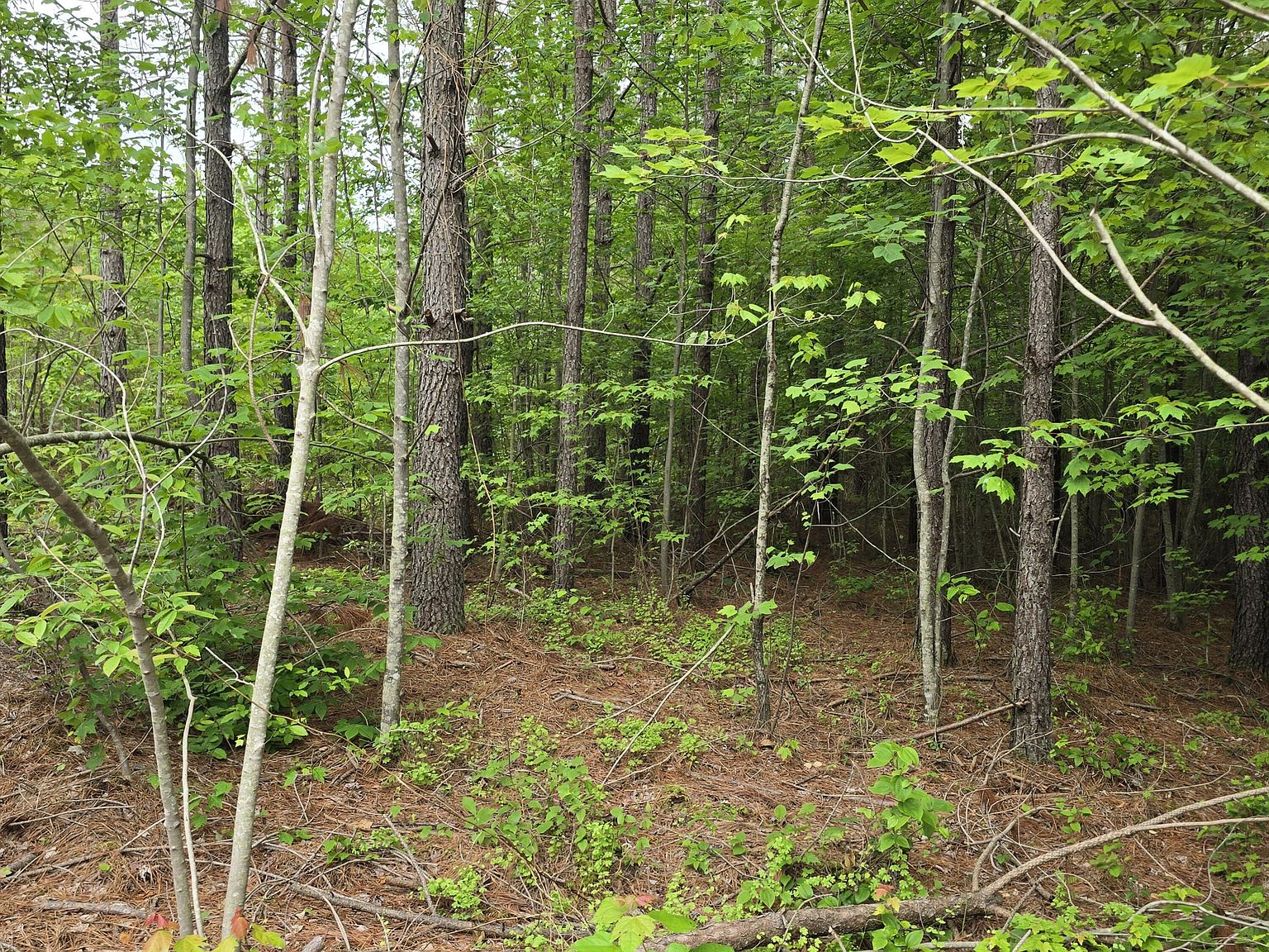 14 Holly Woods, Robbins, TN 37852 | MLS #1305398 | Zillow