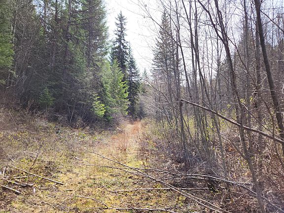 23 Halls Corner Rd, Republic, WA 99166 | MLS #43326 | Zillow