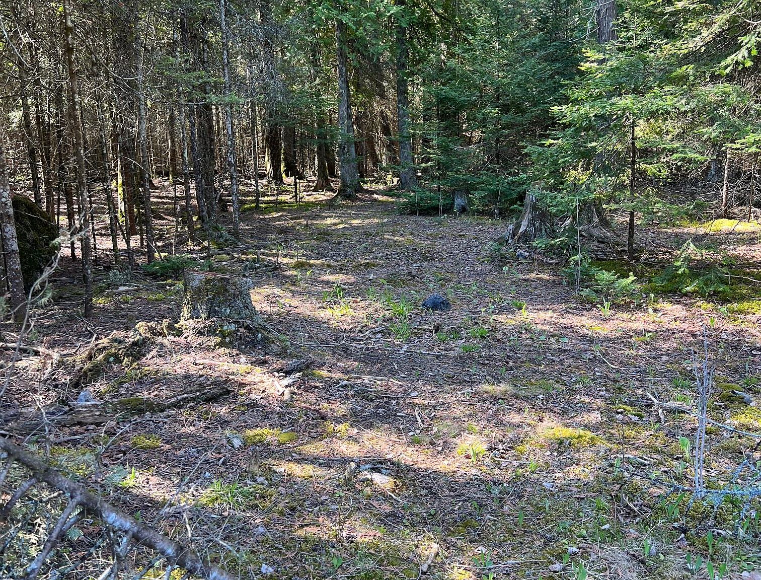 2763 E M 134, Hessel, MI 49745 | Zillow