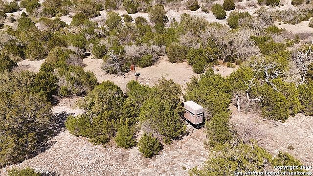 TBD Red Bluff Creek, Rocksprings, TX 78880 | MLS #1756586 | Zillow