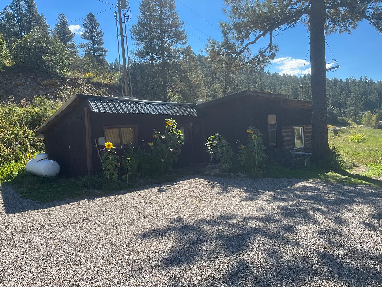 615 County Road 207, Durango, CO 81301 | Zillow