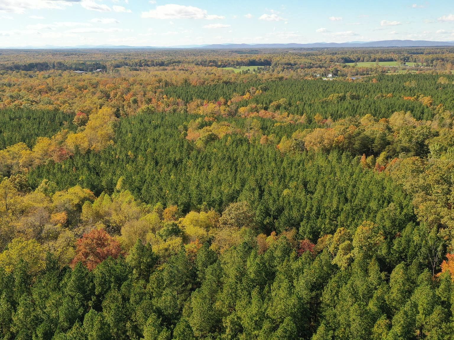 Mount Airy Rd, Louisa, VA 23093 | MLS #VALA2004682 | Zillow