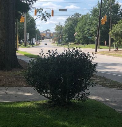 521 Falls Rd, Rocky Mount, NC 27804 | Zillow