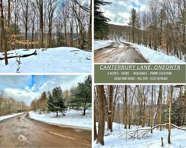 0 Canterbury Ln, Oneonta, NY 13820 | MLS #OD137578 | Zillow