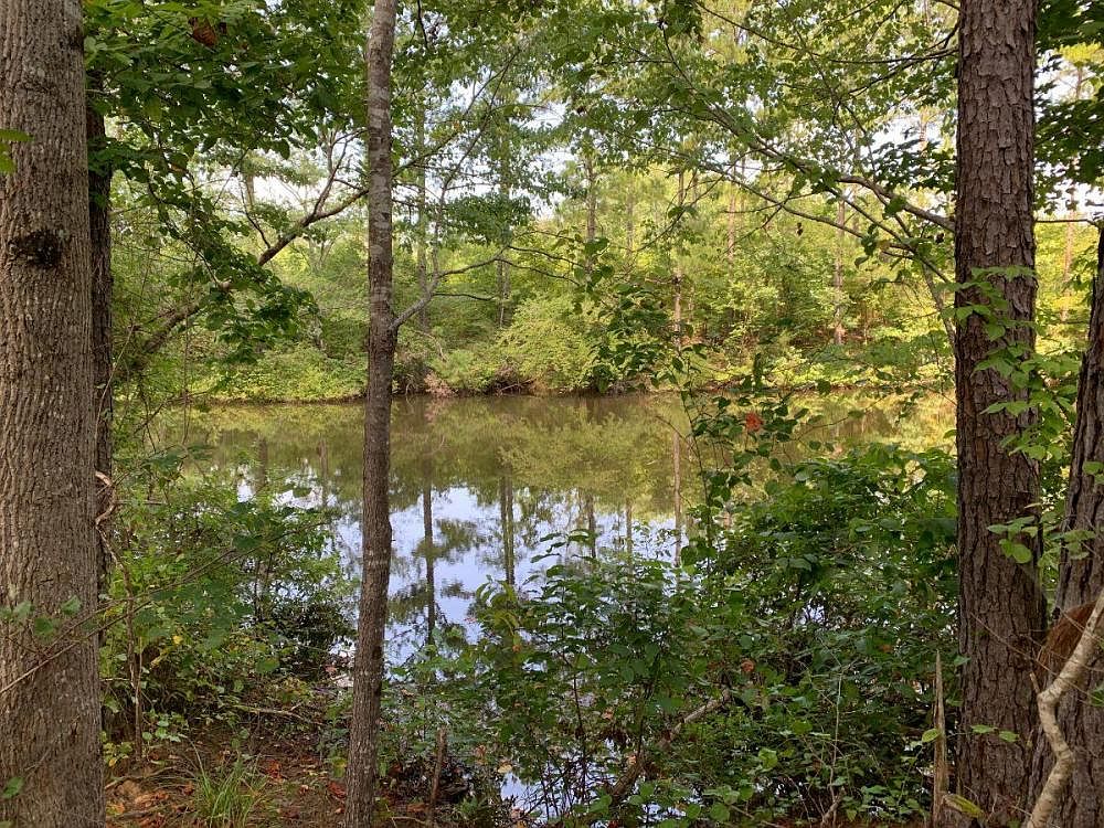 County Line Rd, Maben, MS 39750 | Zillow