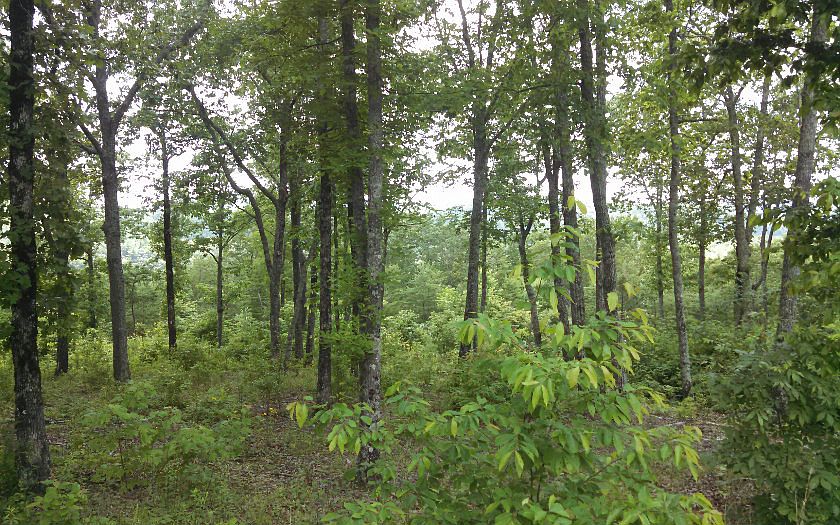 1 Incline Dr, Jasper, GA 30143 | Zillow