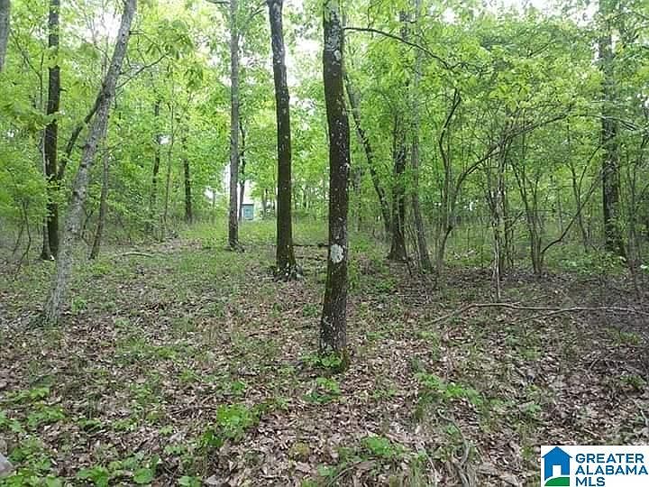 3621 Sand Valley Rd, Remlap, AL 35133 | Zillow