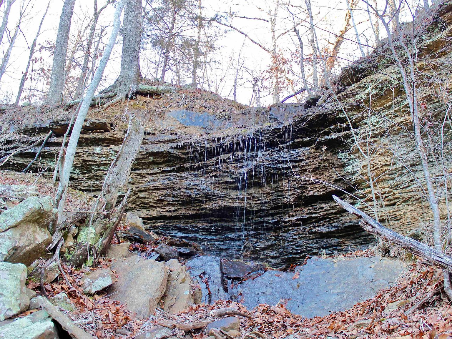 0 Madison #5440, Elkins, AR 72727 | MLS #24003797 | Zillow