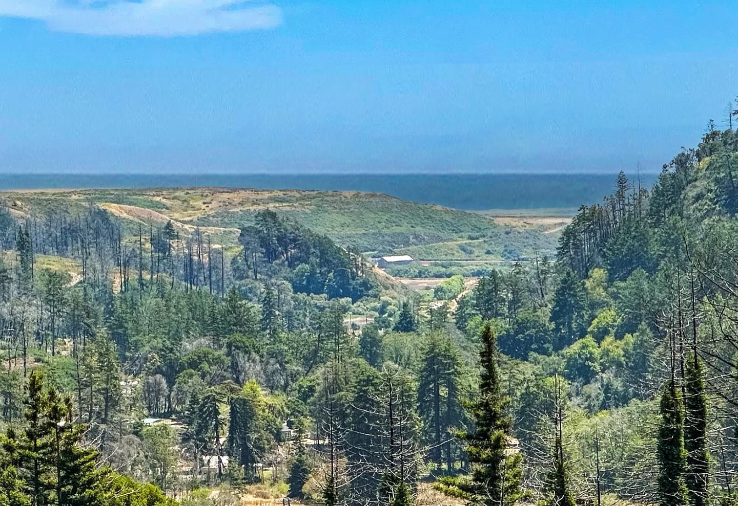 906 Swanton View Rd, Davenport, CA 95017 | Zillow