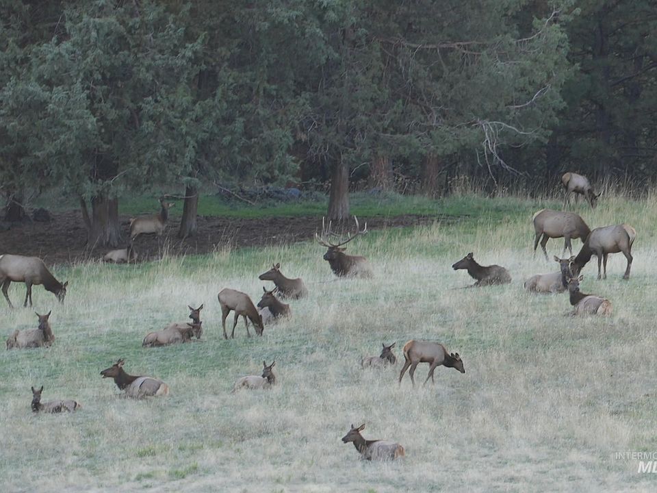 84658 Troy Rd, Wallowa, OR 97885 | MLS #98897435 | Zillow