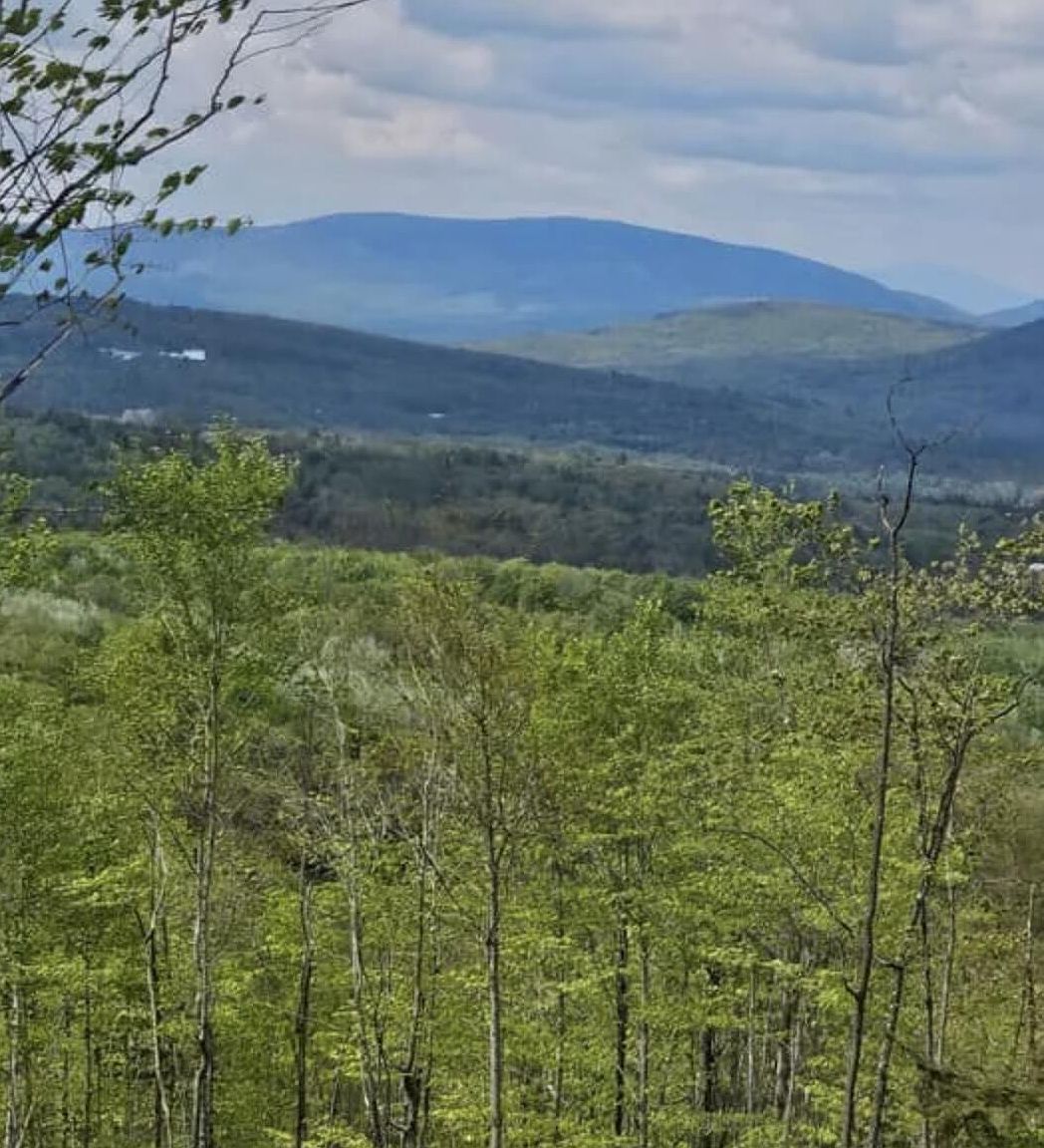 040 Streaked Mountain Rd, Buckfield, ME 04220 | MLS #1623880 | Zillow