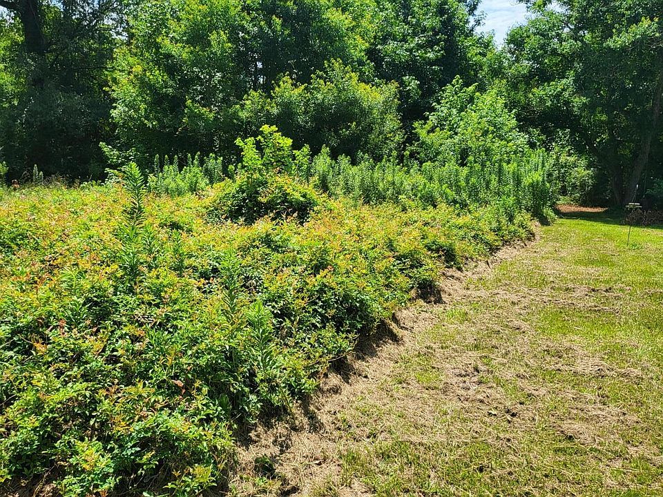 LOT 254 Petal Dr, Petal, MS 39465 | MLS #134223 | Zillow